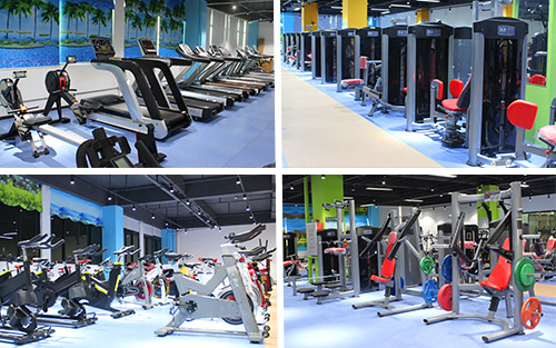 Fitness Equipment Factory,BFT Fitness / Gym Equipment Factory Story