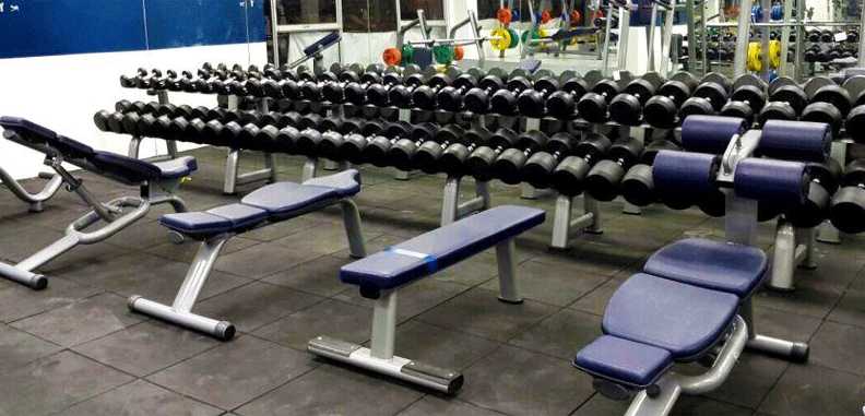 Benches & Racks Strength Equipment-utility bench,decline bench for sale