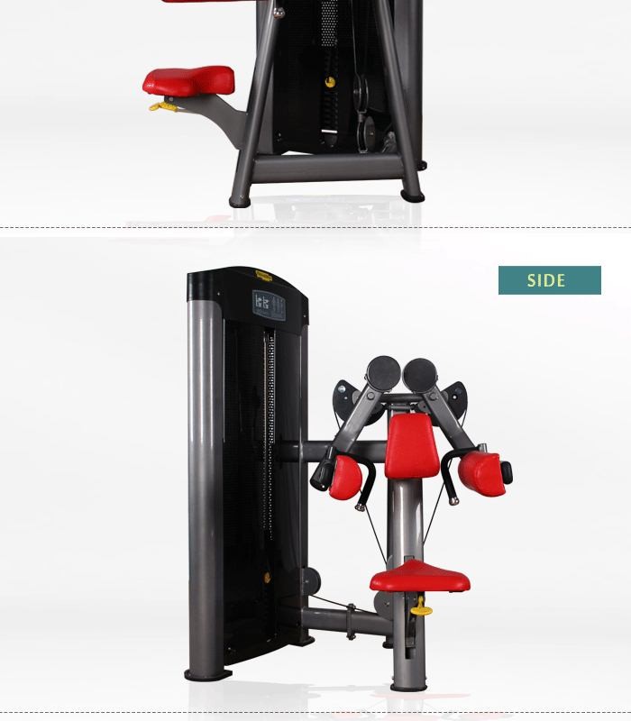 BFT-3003 Deltoid Raise Delt Machine For Sale _ China Fitness Equipment ...