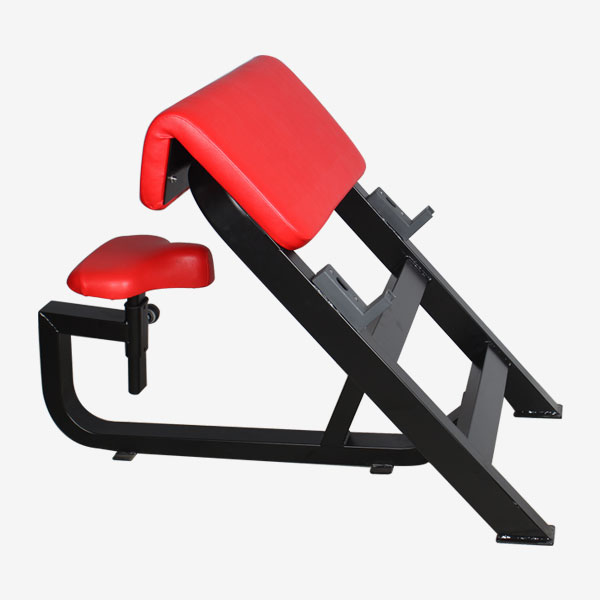 Biceps Bench | BFT Fitness