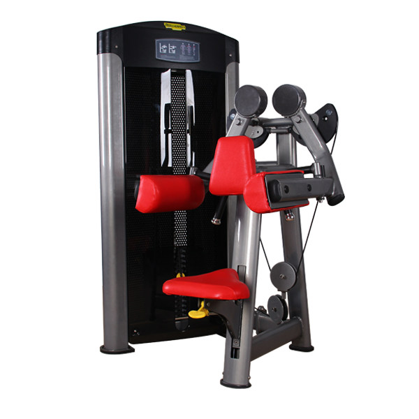 BFT-3003 Deltoid Raise Delt Machine For Sale _ China Fitness Equipment ...